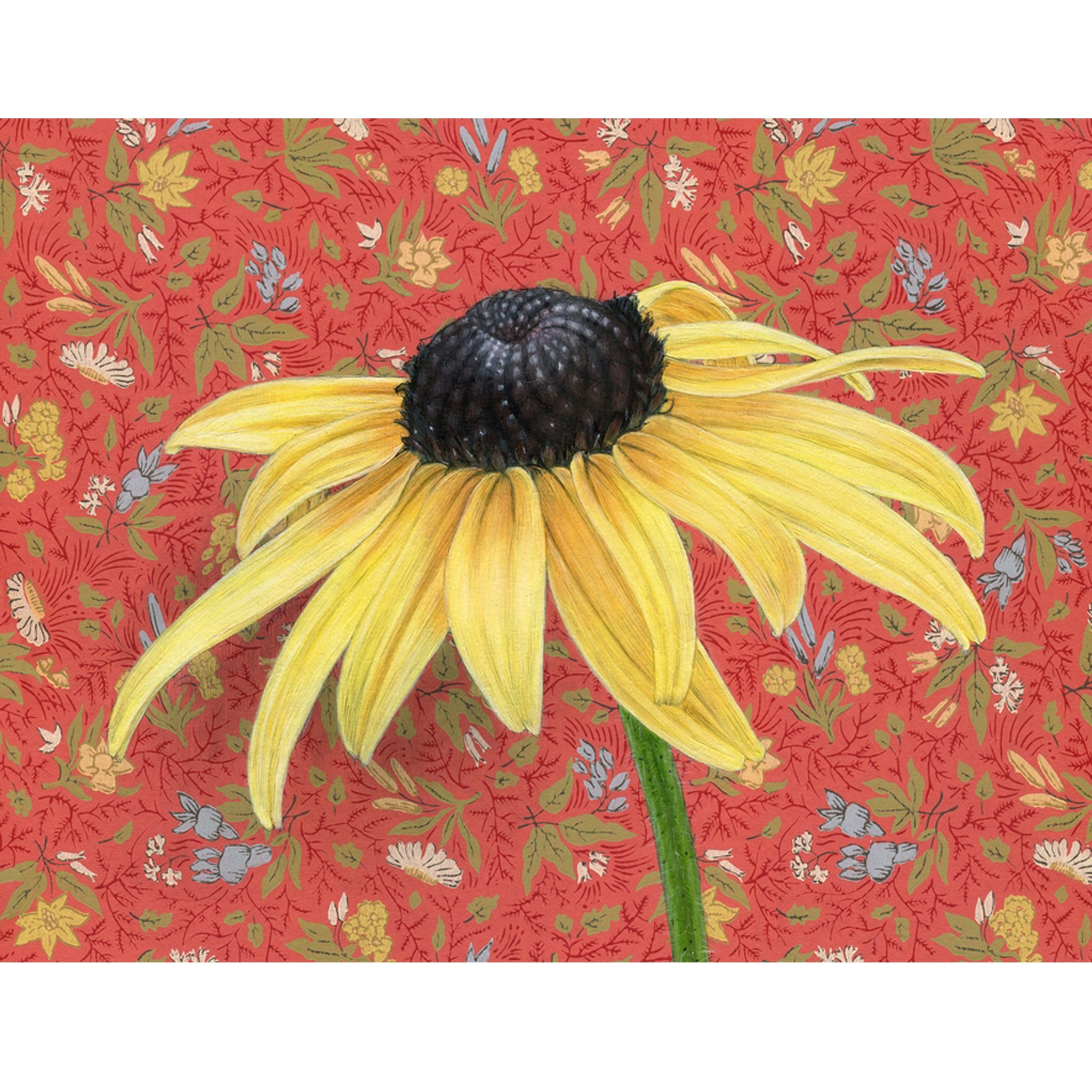 Black Eyed Susan Art Textured Notecard – The Maryland Store