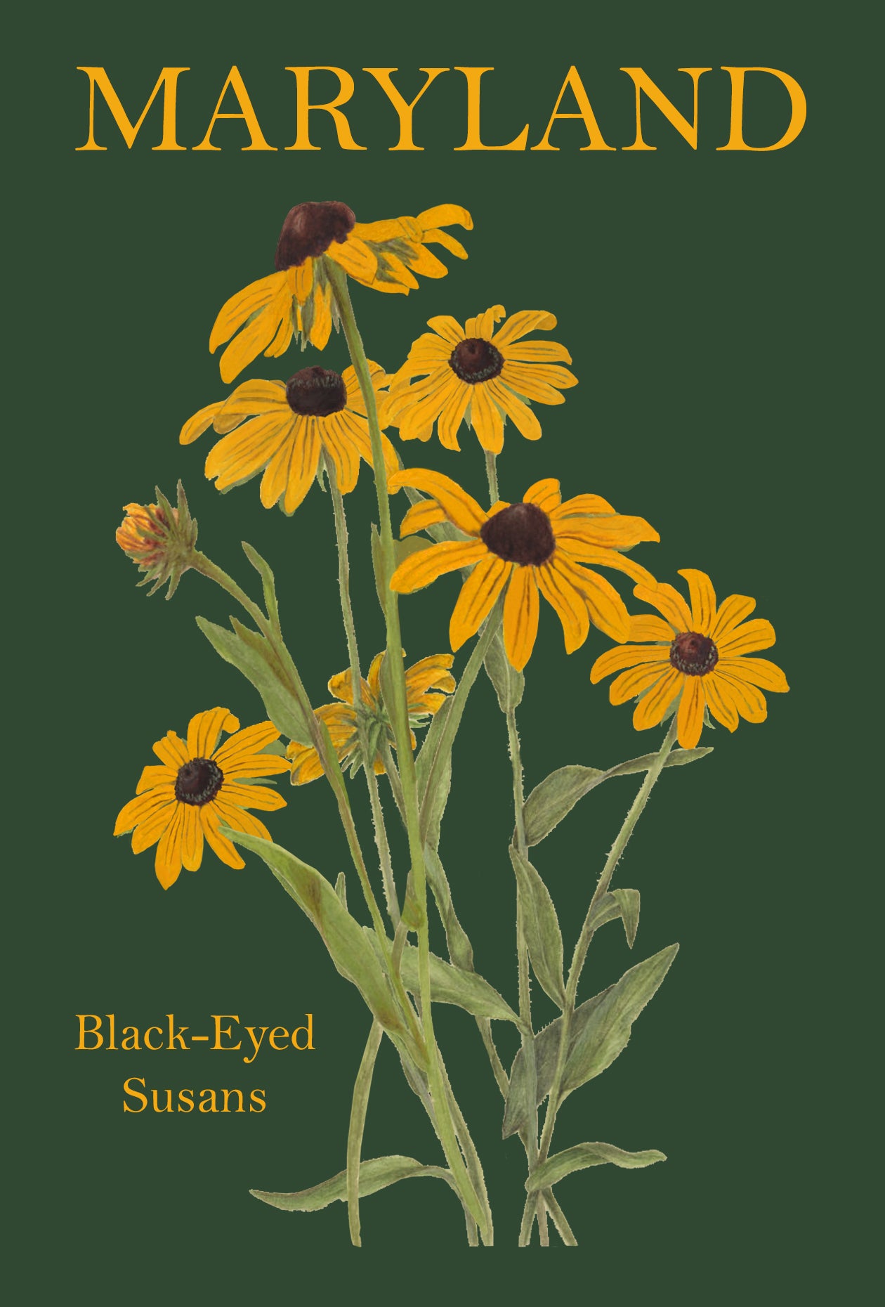 Postcard - Maryland Black Eyed Susans – The Maryland Store