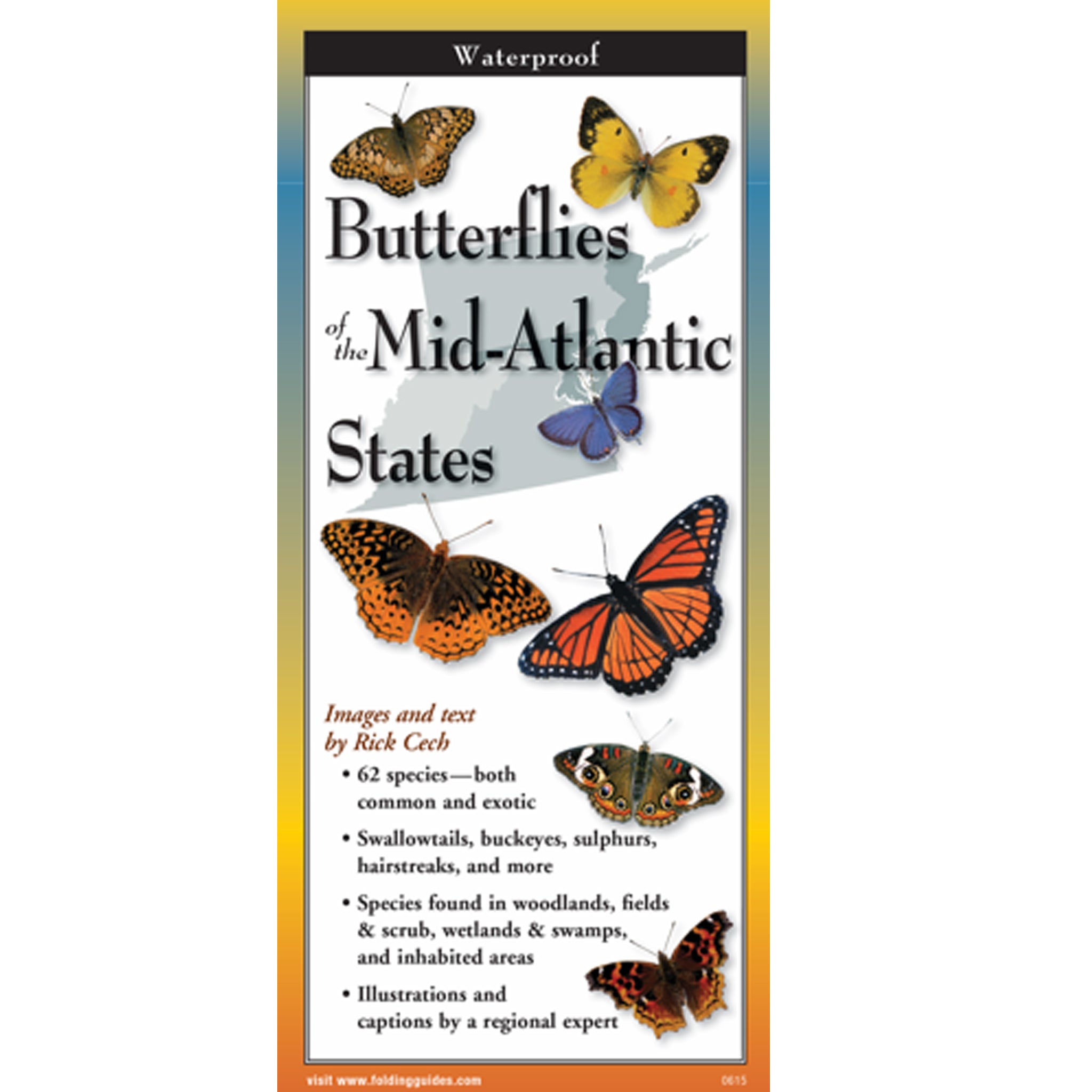 Butterflies of the Mid-Atlantic Folding Guide – The Maryland Store