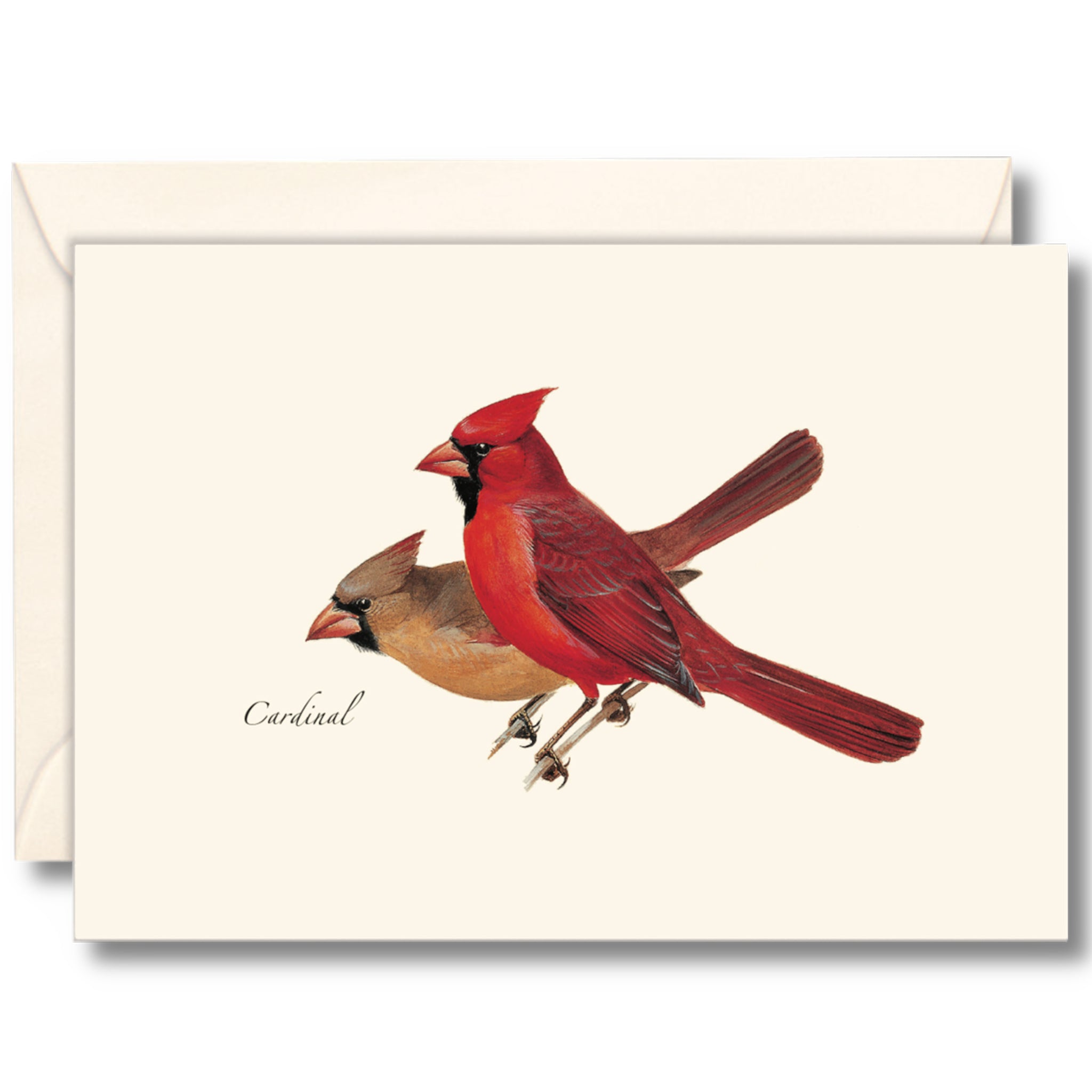 Cardinals Illustrated Notecards Set of 8 – The Maryland Store