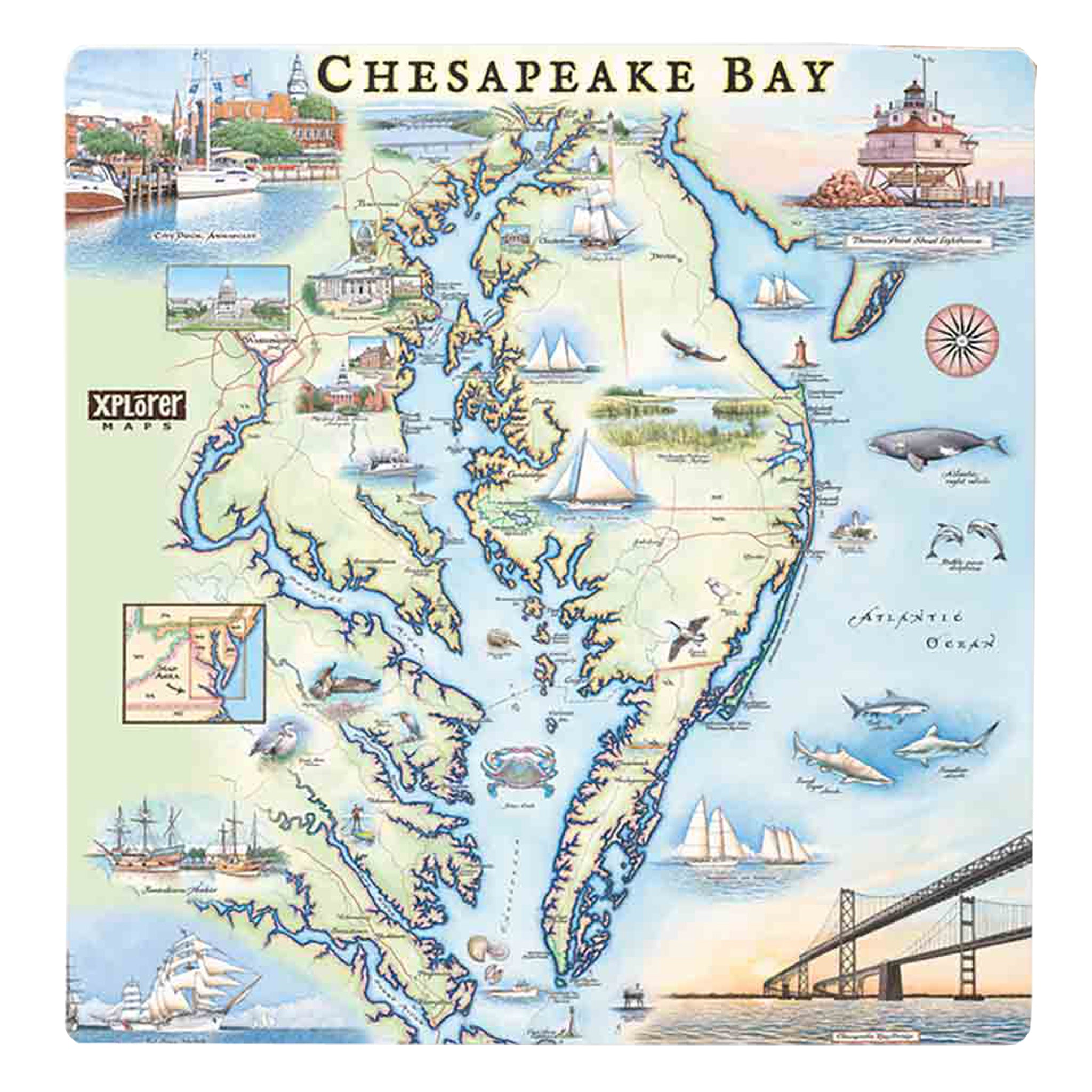 Chesapeake Bay Map Ceramic Drink Coaster – The Maryland Store