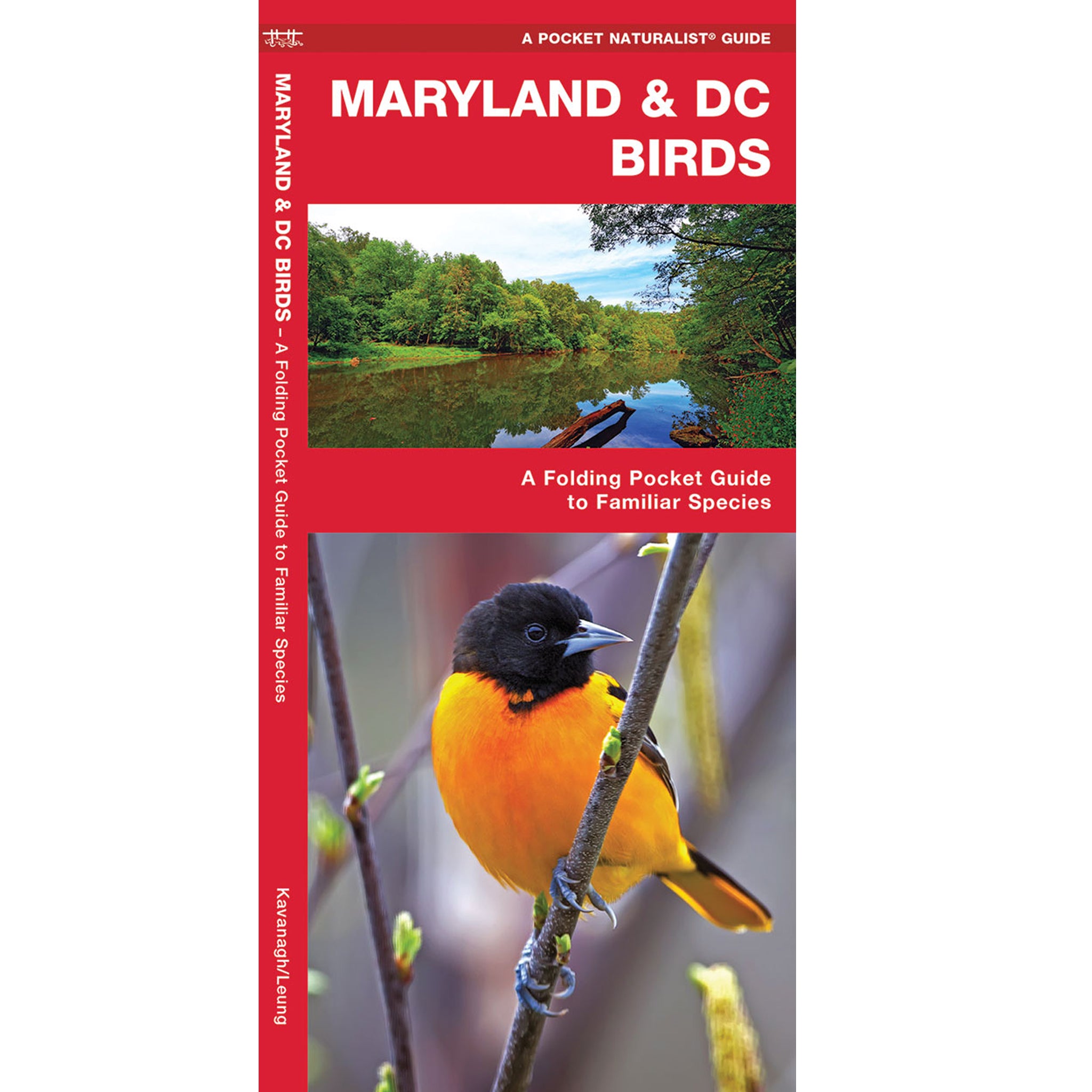 Maryland & DC Birds Pocket Naturalist Guide – The Maryland Store