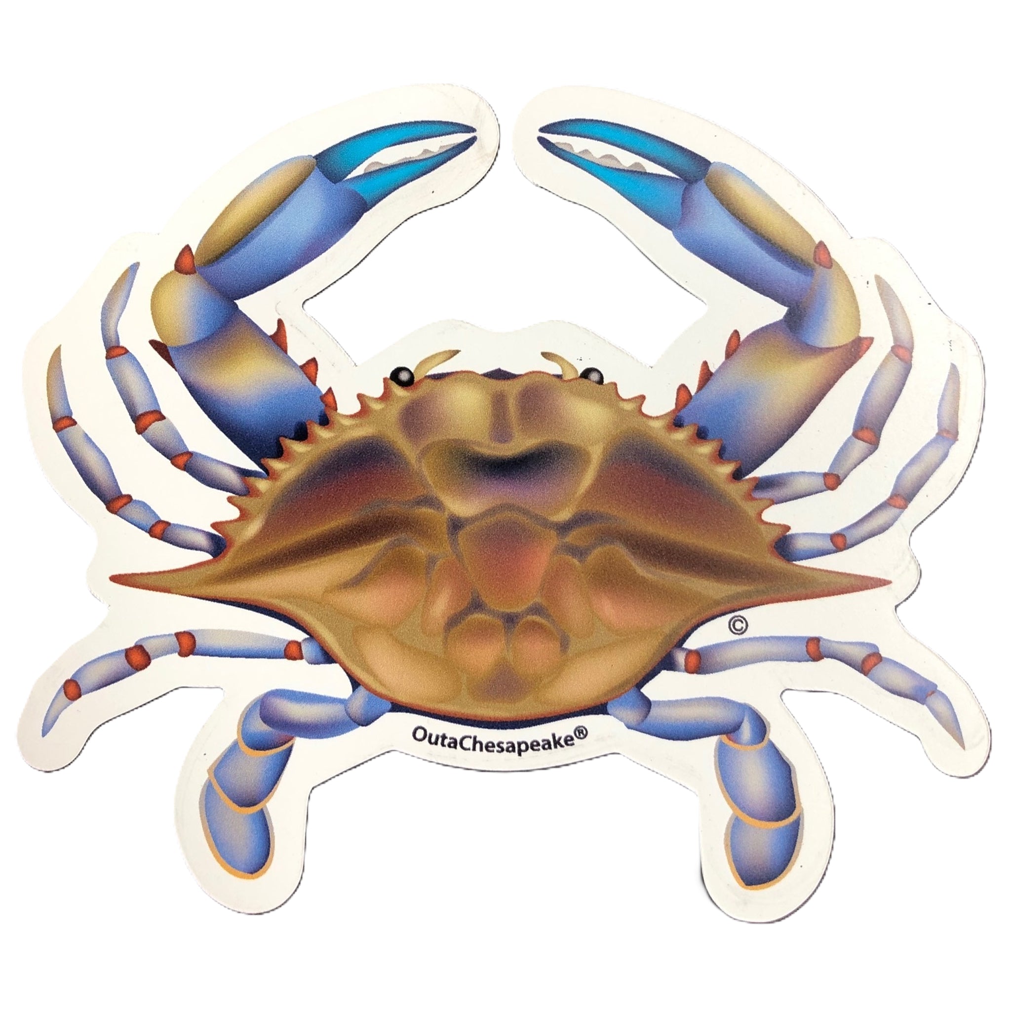 Natural Blue Crab Jimmy Sticker – The Maryland Store