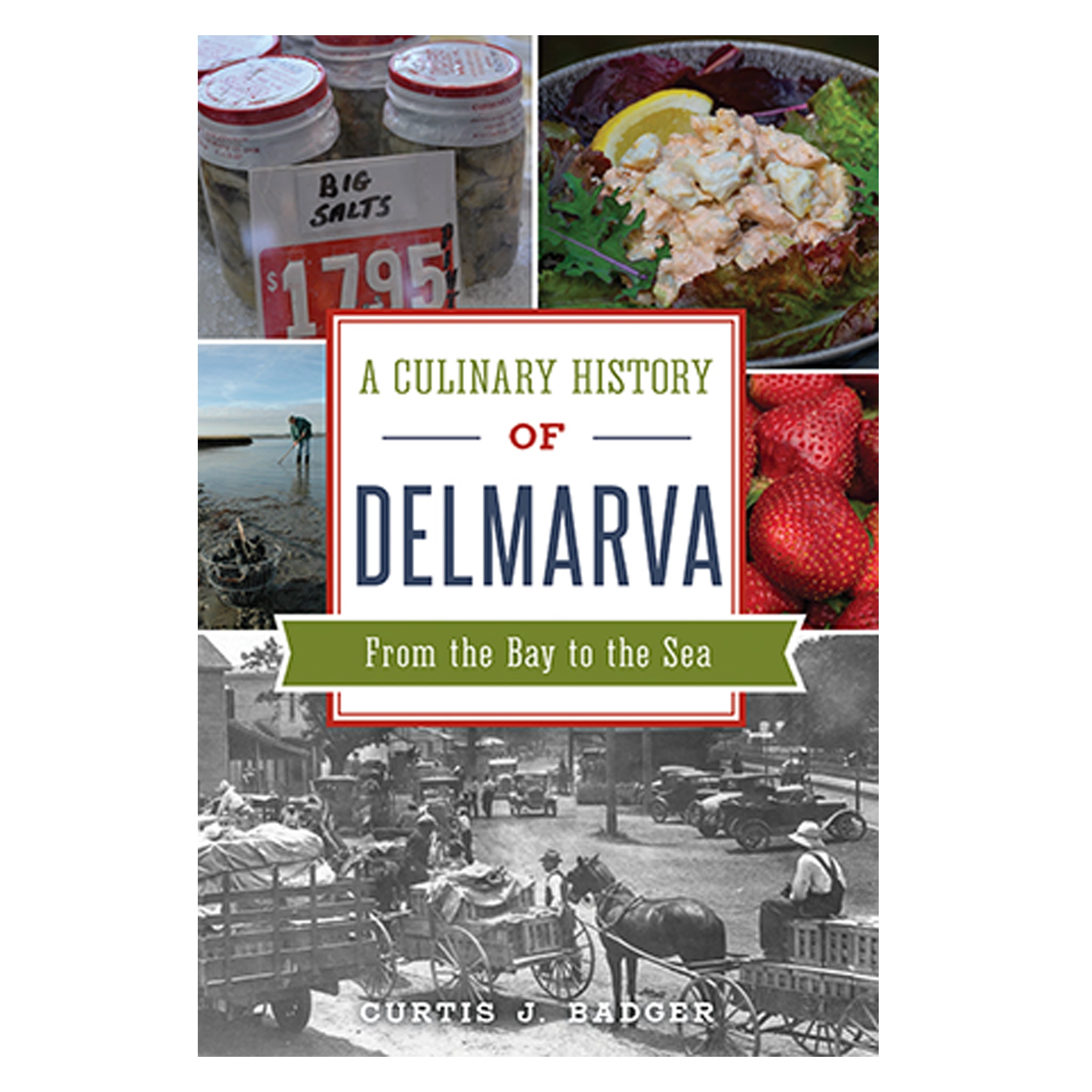 Culinary History of Delmarva: From the Bay to the Sea Book – The ...