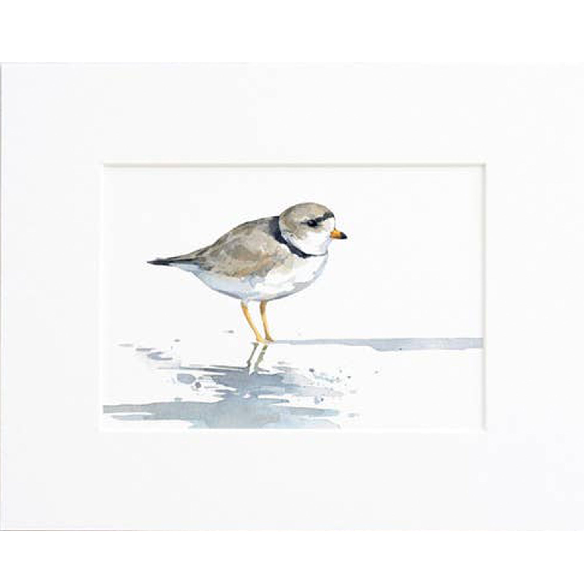 Piping Plover Watercolor Art Print | Matted – The Maryland Store